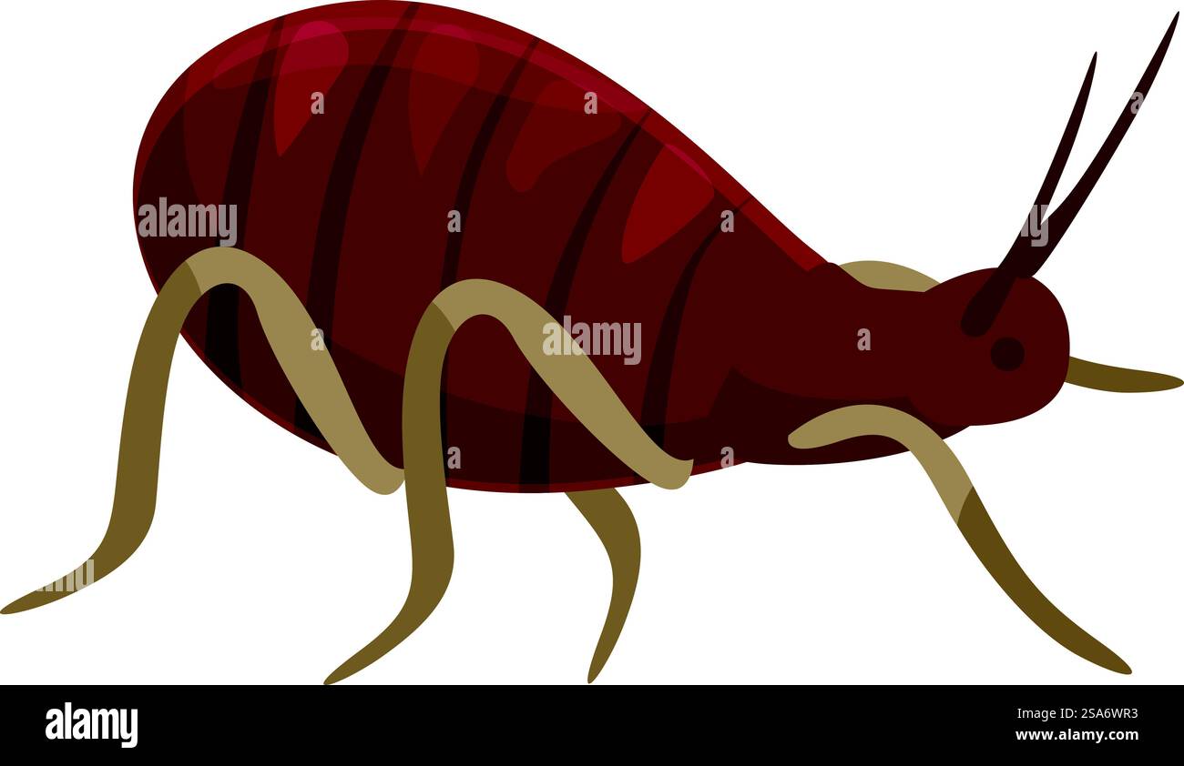 Red mite crawling, this parasite insect can spread diseases. Red mite ...