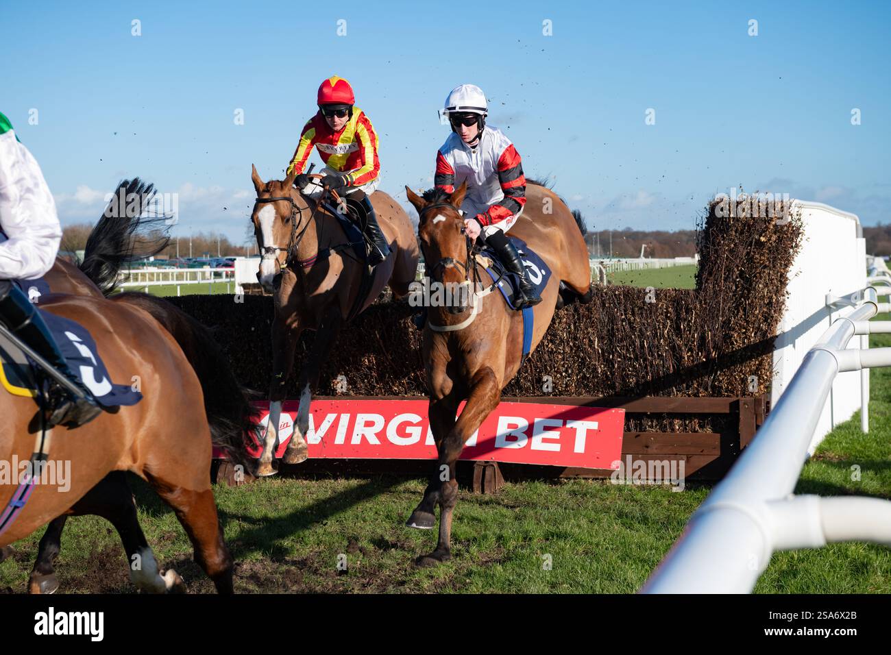 Thomas mor horse hi-res stock photography and images - Alamy