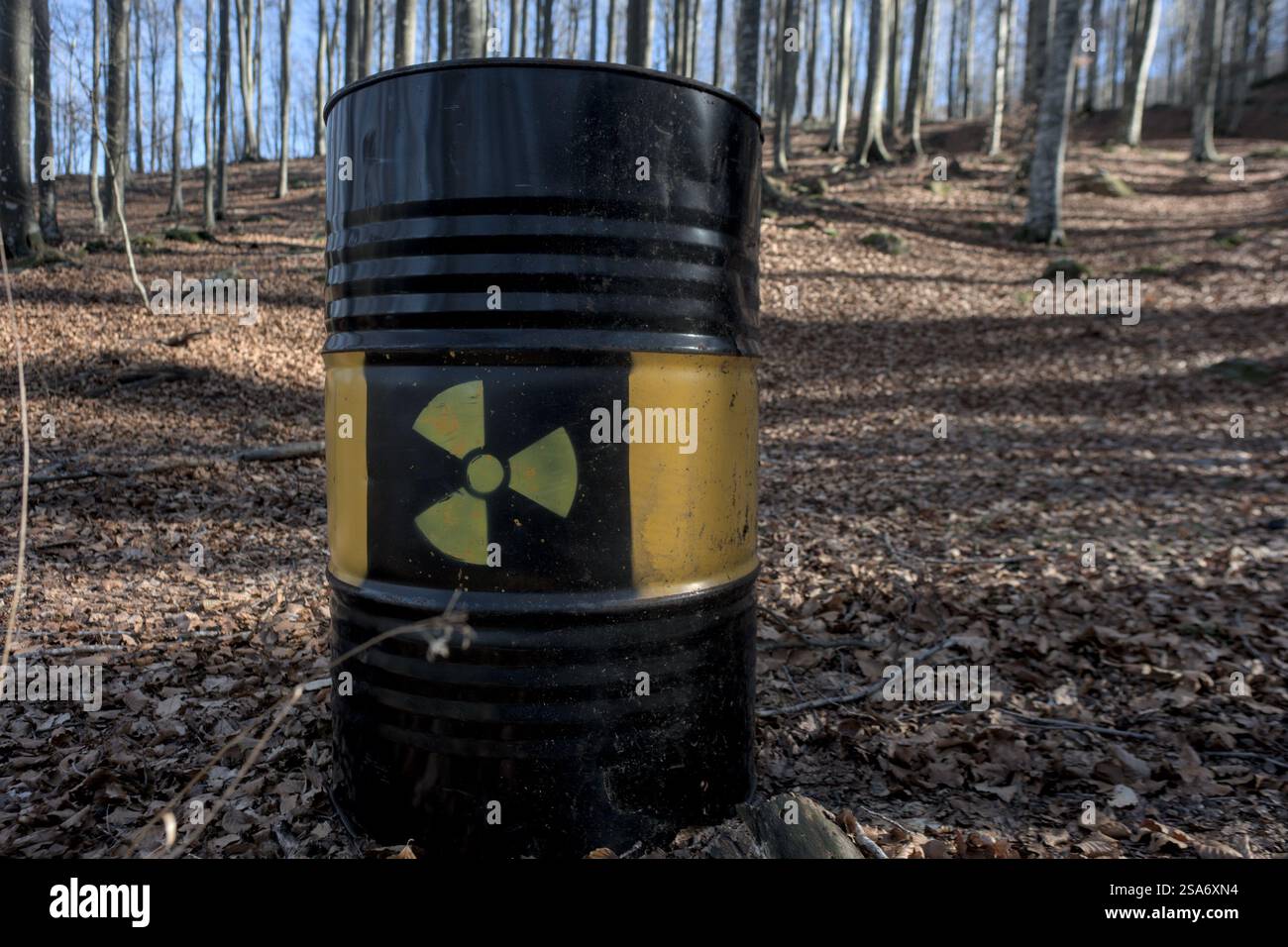 Nuclear waste in the forest Stock Photo - Alamy