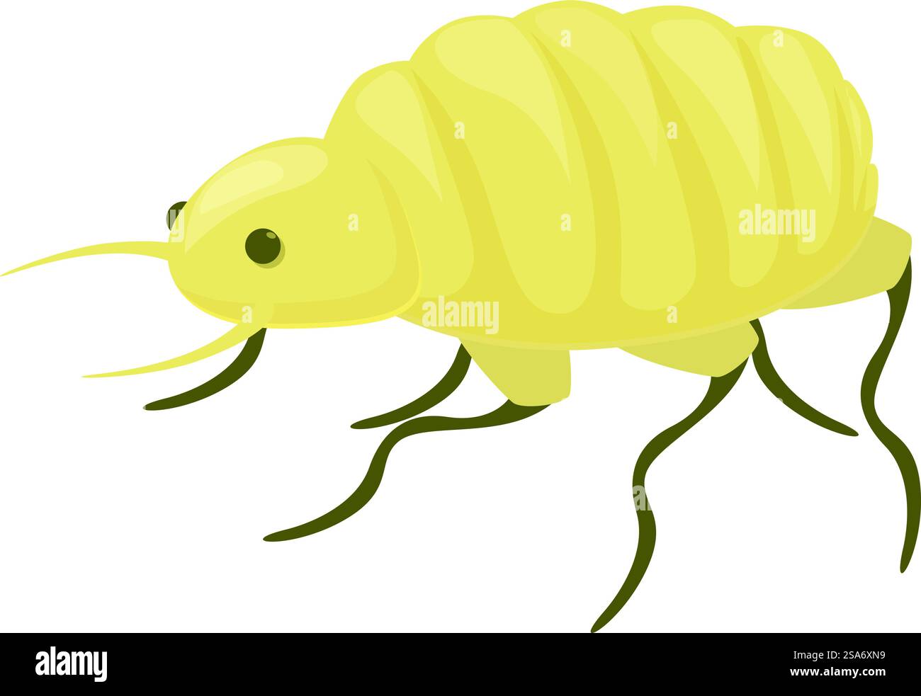 Yellow wireworm larva with segmented body and six legs crawling. Yellow ...