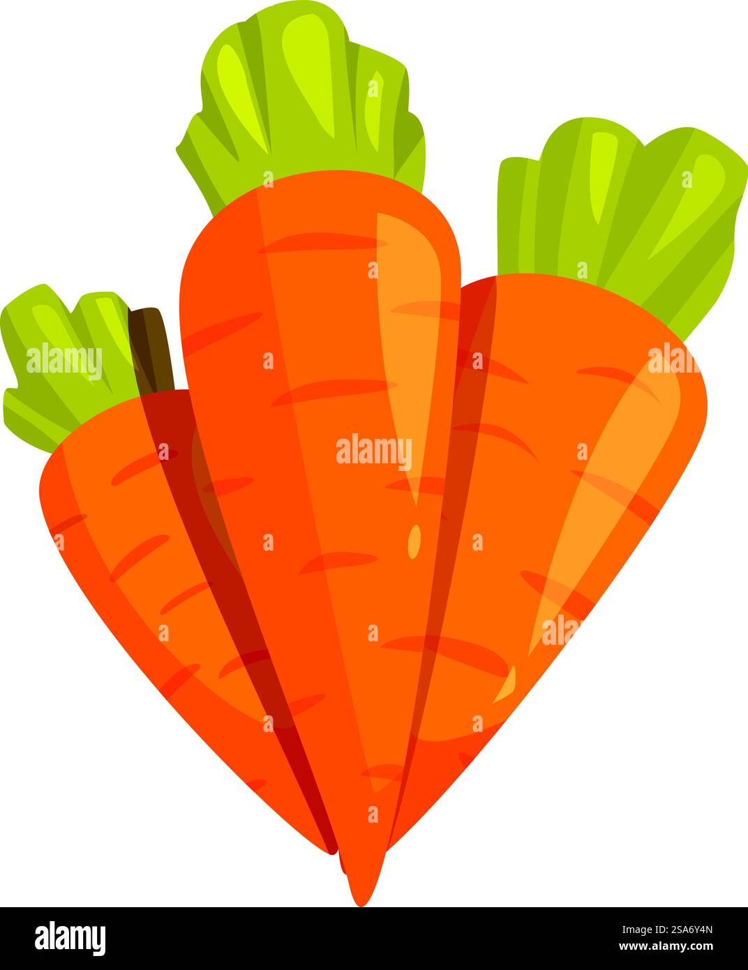 Three fresh organic carrots forming a beautiful fan shape, perfect for ...