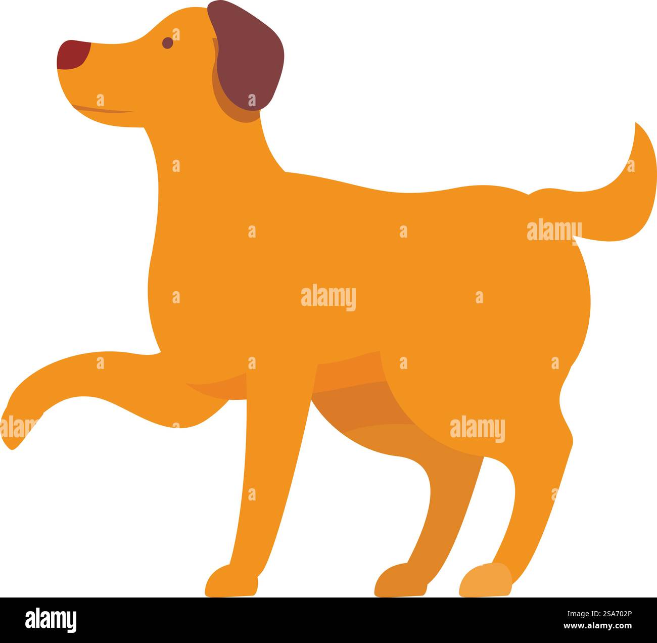 Domestic dog golden retriever three Stock Vector Images - Alamy