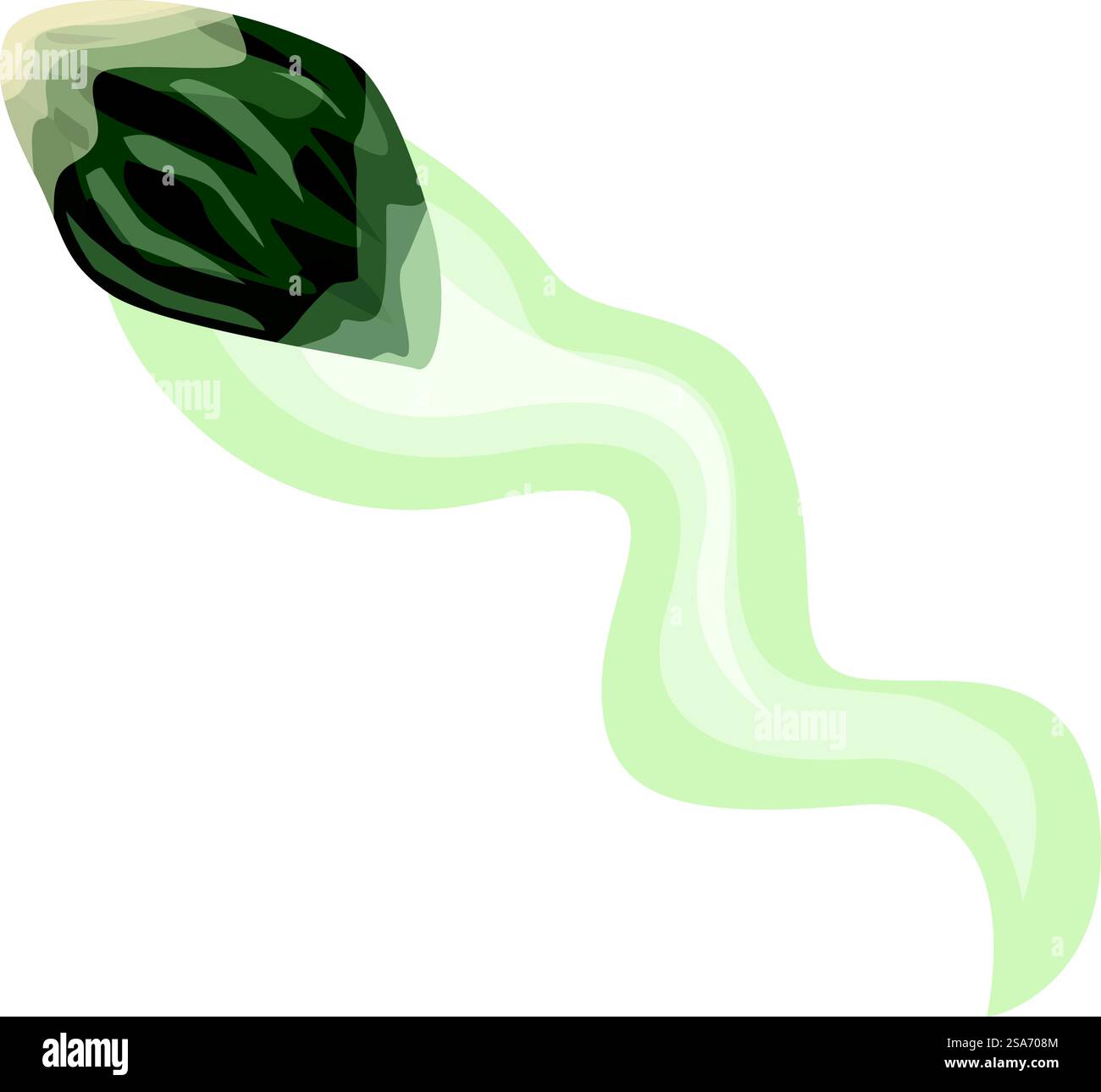 Green tea bag infusing, spreading its delicious flavor and aroma. Green ...