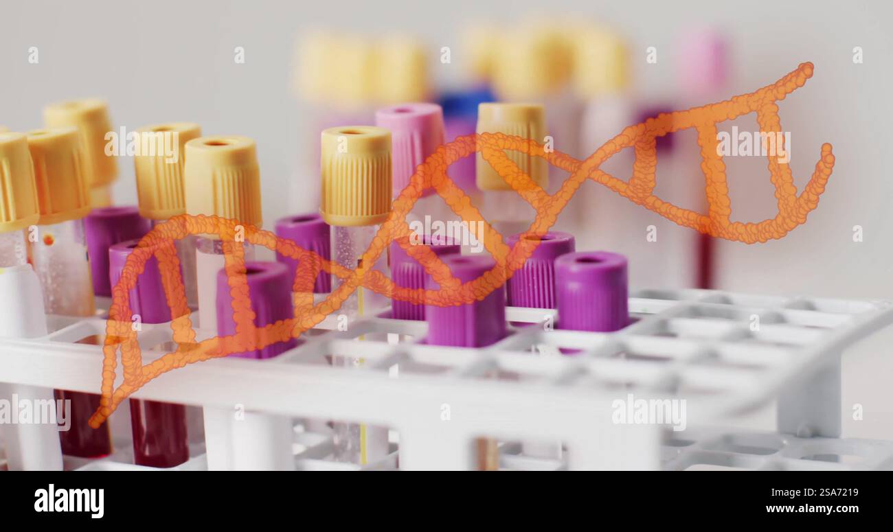 Image of orange dna strand over blood sample test tubes in rack Stock ...