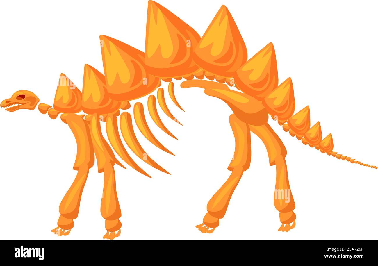 Stegosaurus dinosaur skeleton standing in side view, prehistoric animal ...