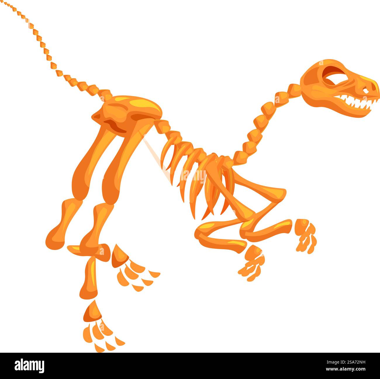 Velociraptor skeleton running, showing its long tail and sharp teeth ...