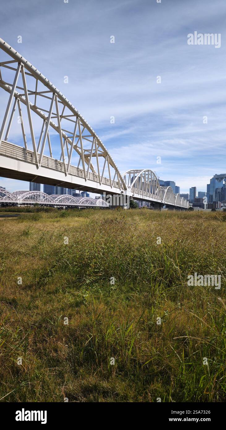Bridges over Yodo River with Osaka Umeda skyline Stock Photo - Alamy