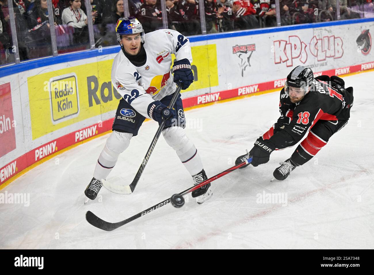 Eishockey DEL - 24/25 - 41. Spieltag: Kölner Haie vs EHC Red Bull ...