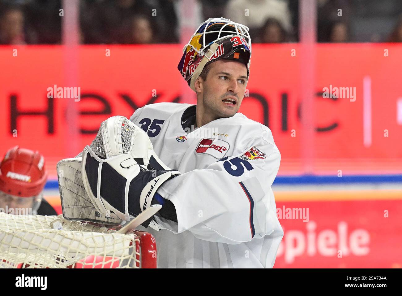 Eishockey DEL - 24/25 - 41. Spieltag: Kölner Haie vs EHC Red Bull ...