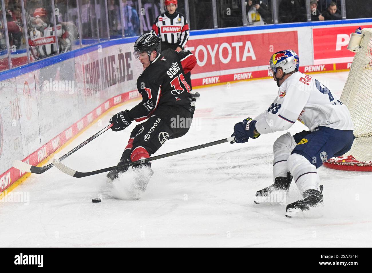 Eishockey DEL - 24/25 - 41. Spieltag: Kölner Haie vs EHC Red Bull ...