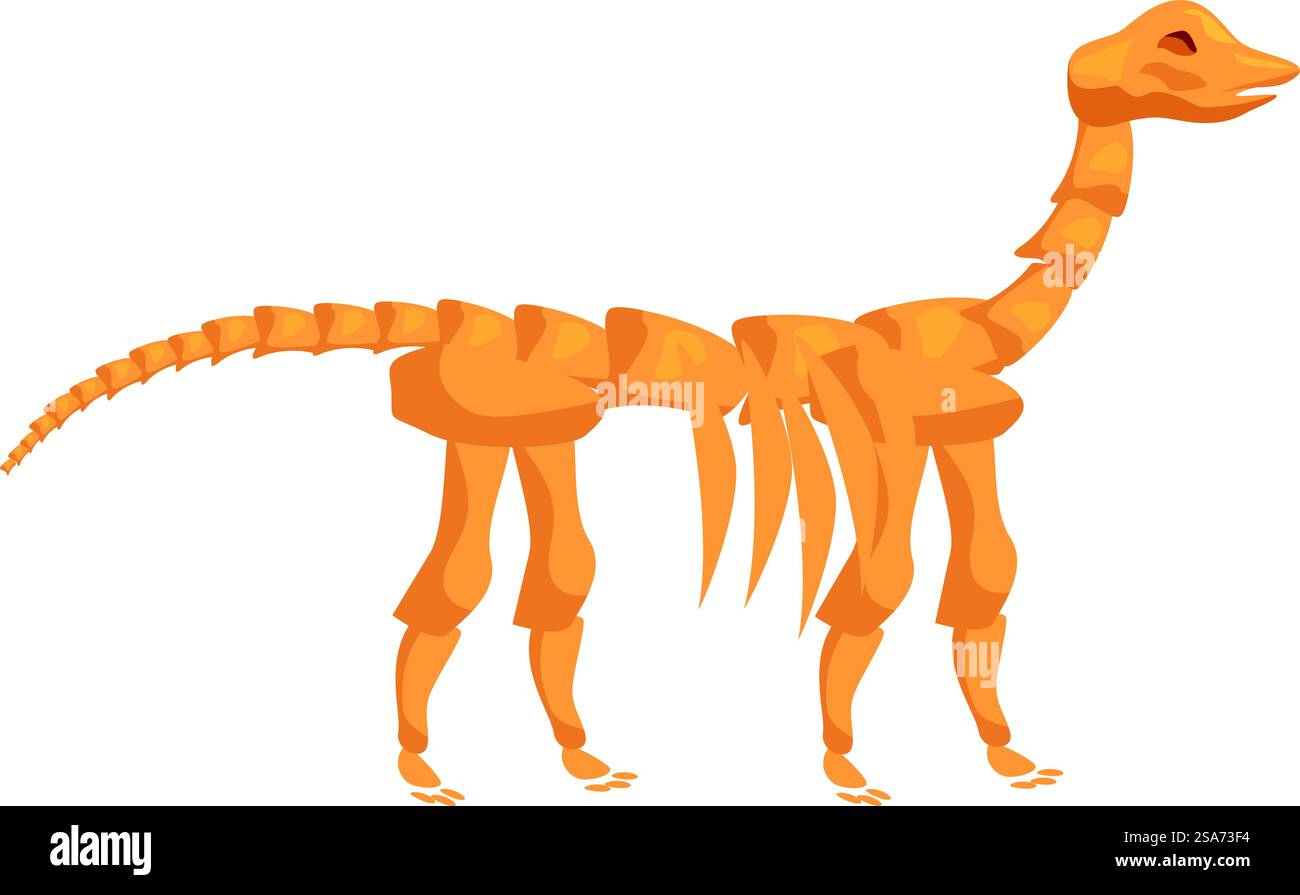 Brachiosaurus dinosaur skeleton standing on two legs, paleontology and ...