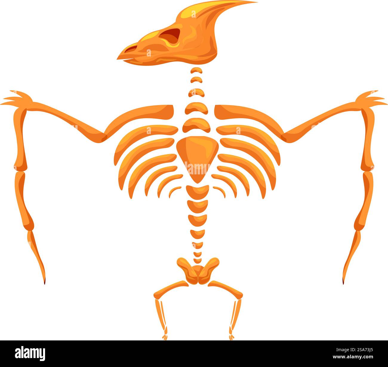 Parasaurolophus dinosaur skeleton standing on two legs, paleontology ...