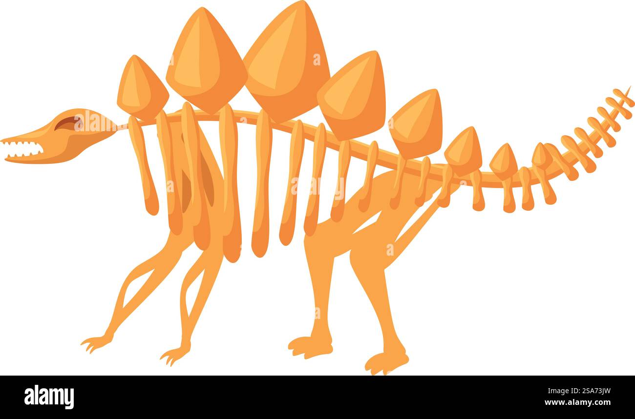 Stegosaurus dinosaur skeleton standing on four legs, side view ...