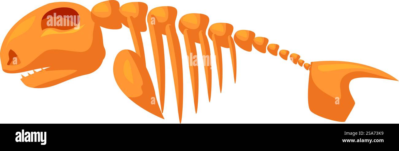 Cartoon fish skeleton showing its anatomy with skull, vertebrae, ribs ...