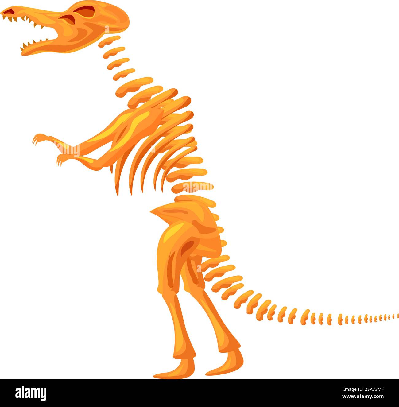 Tyrannosaurus rex skeleton standing on two legs showing its teeth Stock ...
