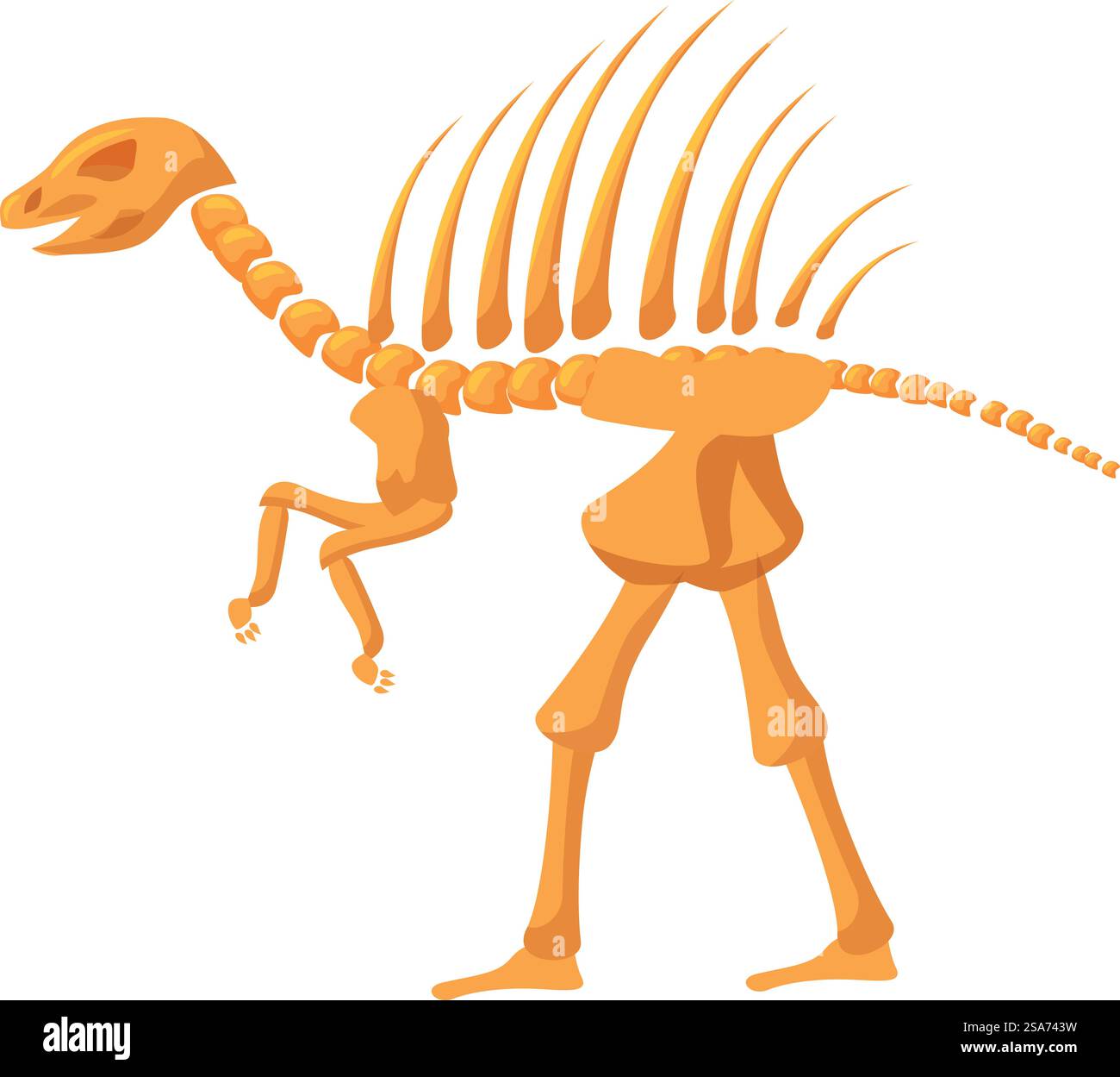 Spinosaurus aegyptiacus skeleton, a genus of spinosaurid dinosaur that ...