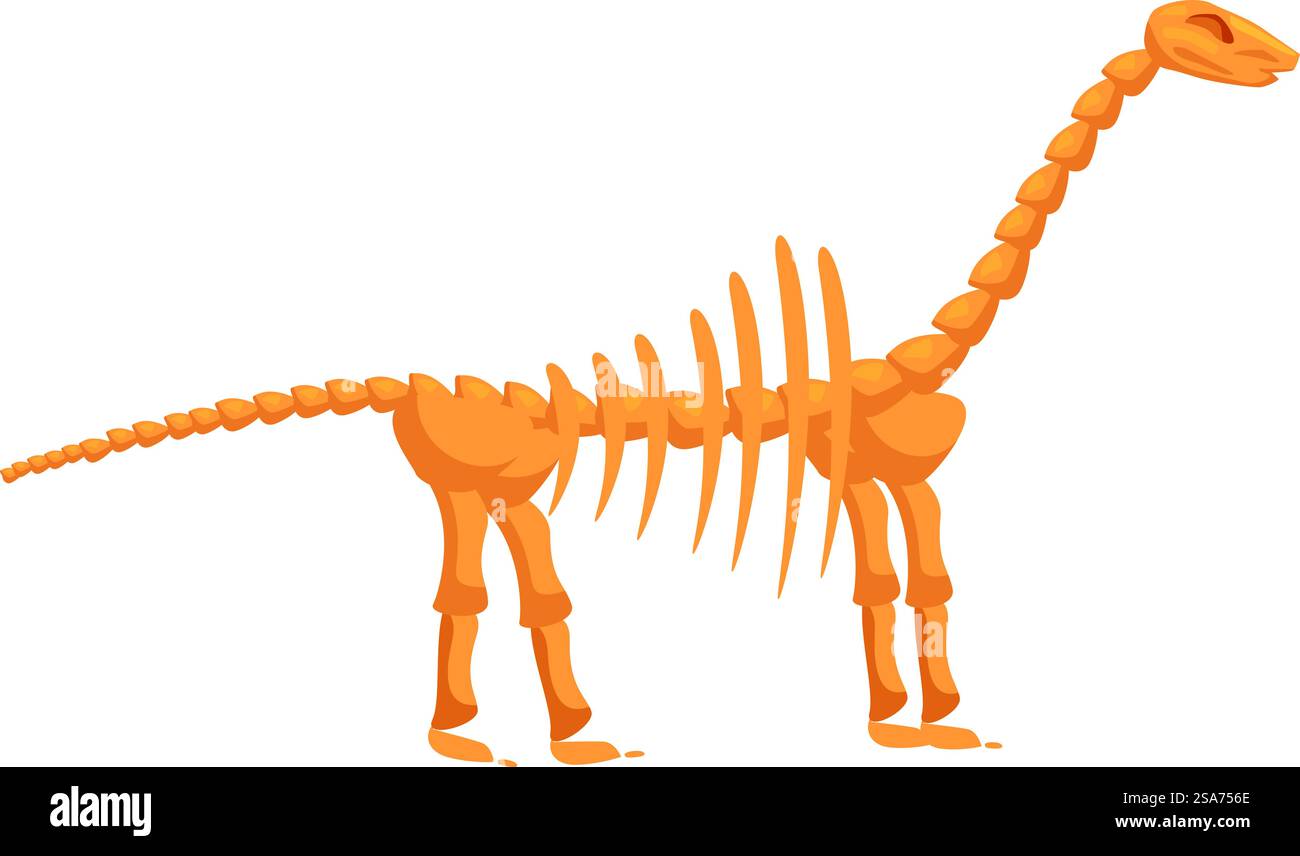 Brachiosaurus skeleton standing on ground, paleontology and archeology ...