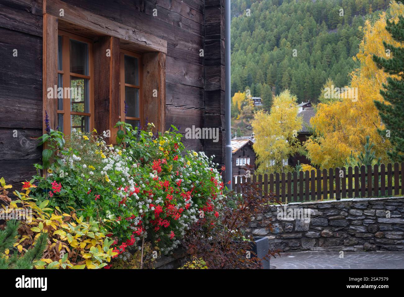 Window boxes with geraniums in Zermatt, Switzerland, Europe Stock Photo ...