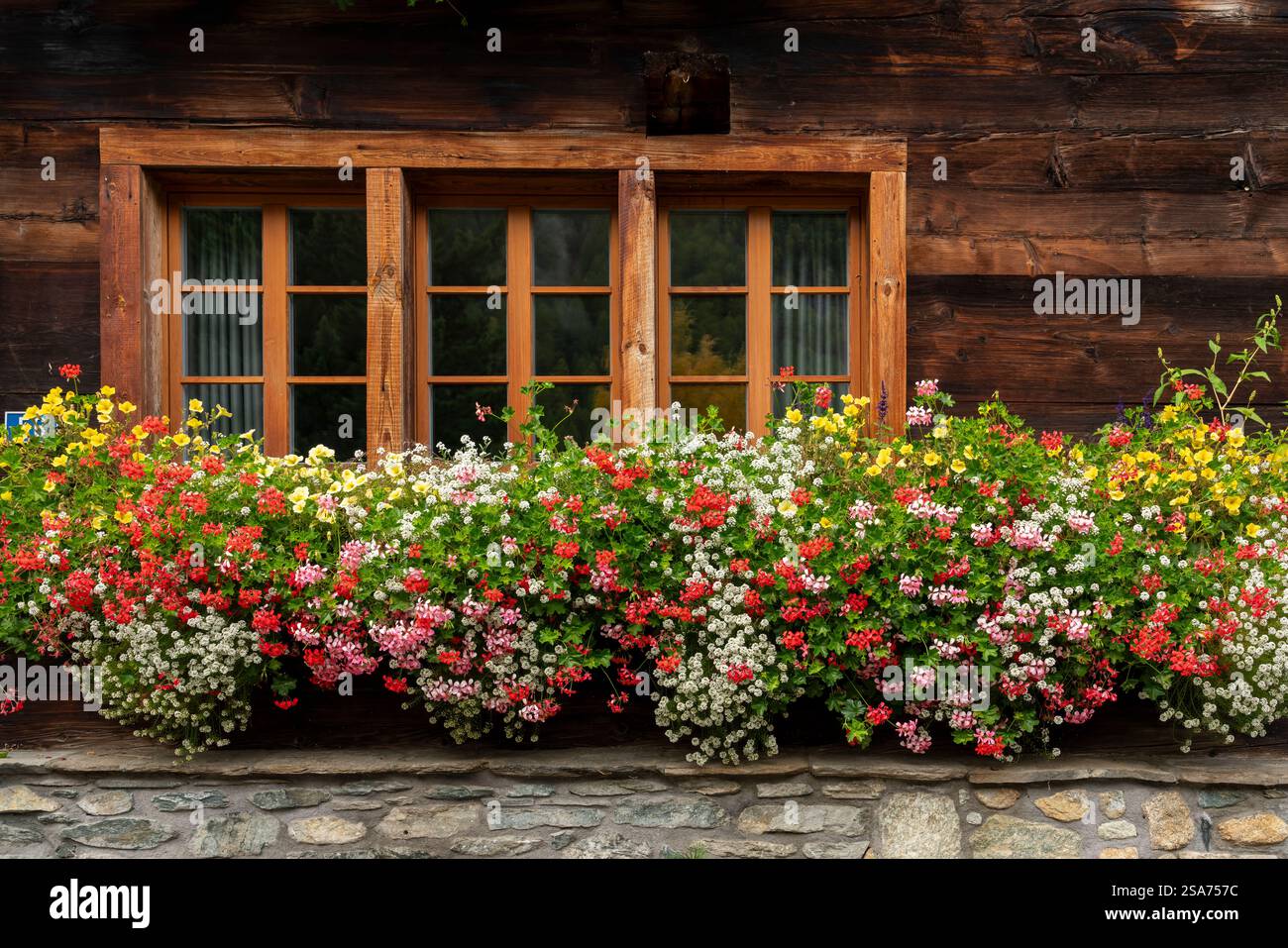 Window boxes with geraniums in Zermatt, Switzerland, Europe Stock Photo ...