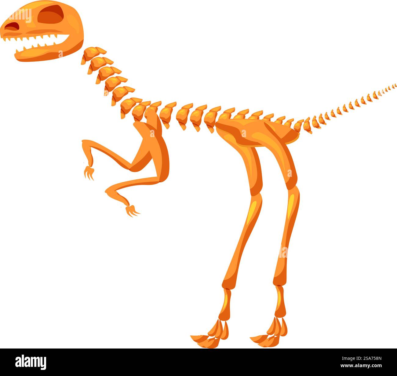 Dinosaur skeleton standing on two legs showing its teeth in cartoon ...