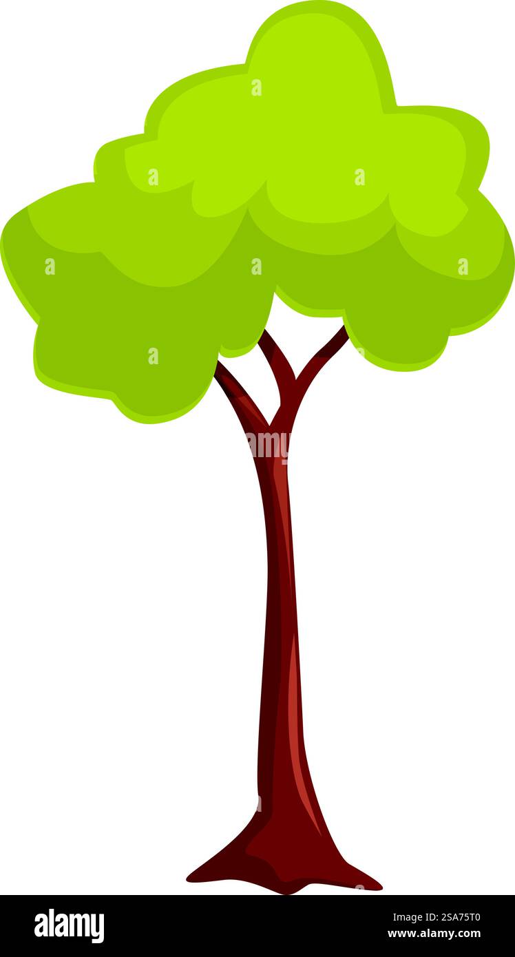 Single green tree growing with lush foliage isolated on white ...