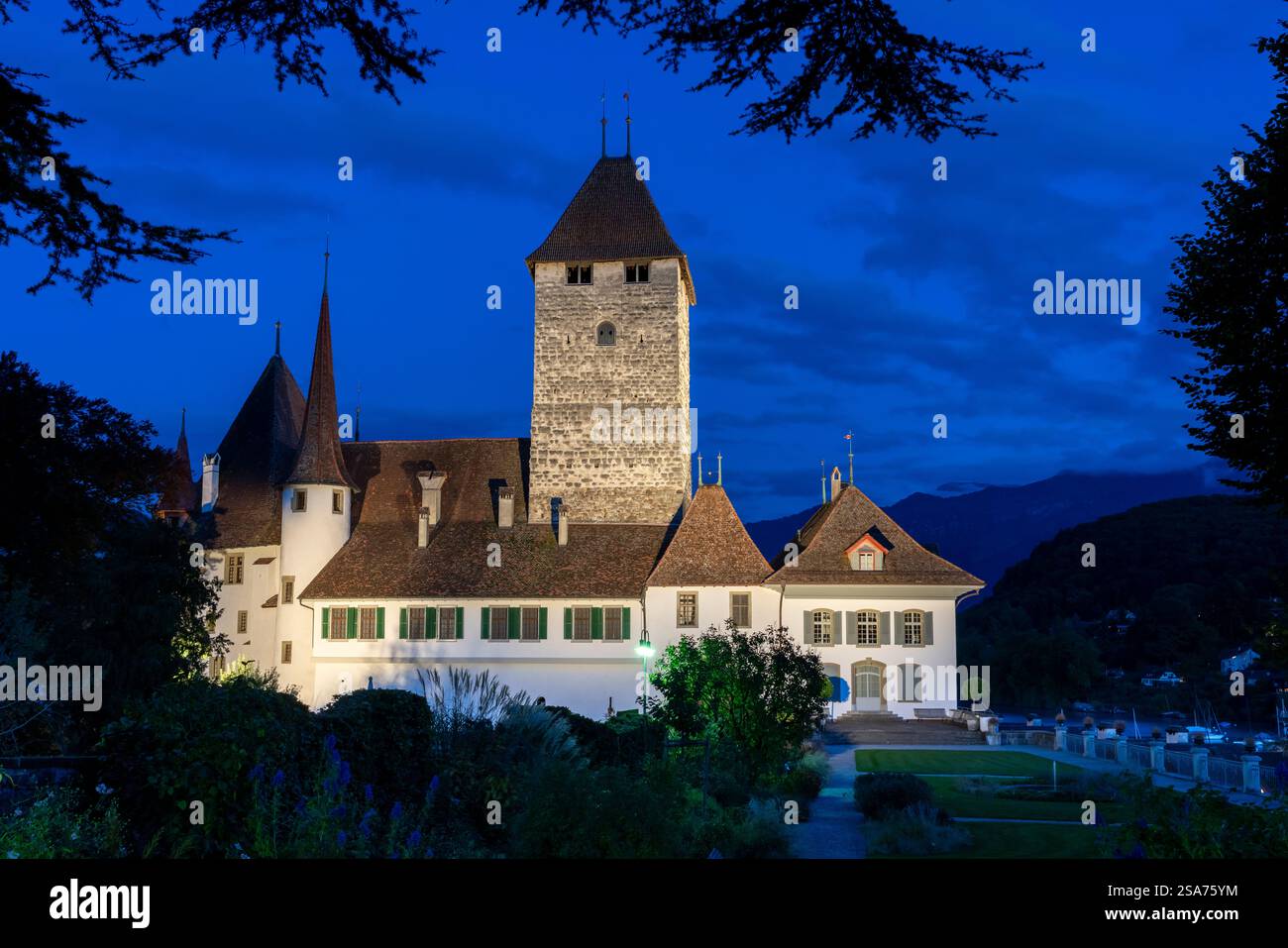 The Spiez Castle on Lake Thun illuminated at night, Spiez, Switizerland ...