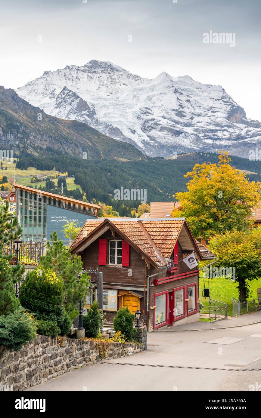 Fall foliage color in the trees of Wengen, Switzerland, Europe Stock ...