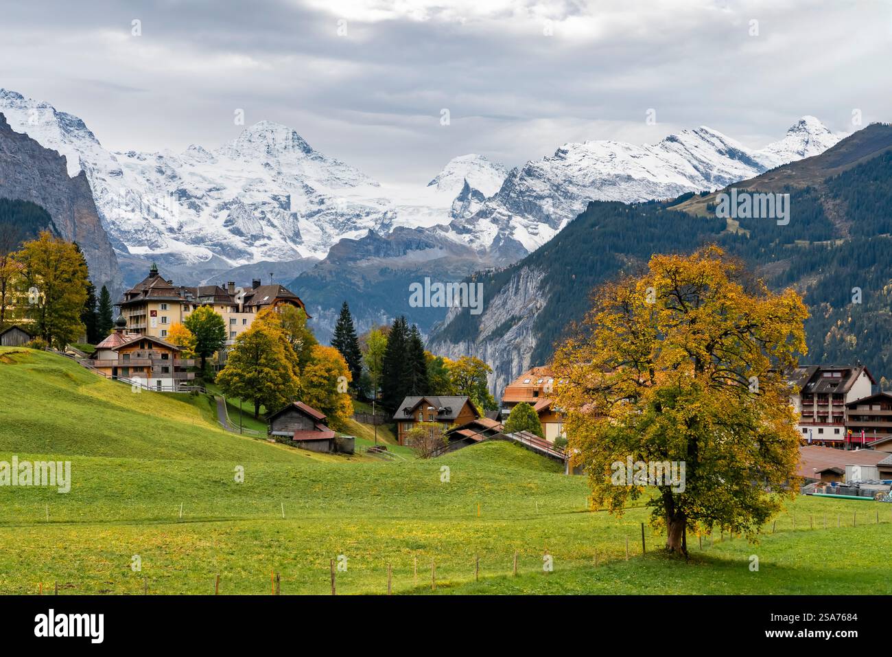 Fall foliage color in the trees of Wengen, Switzerland, Europe Stock ...