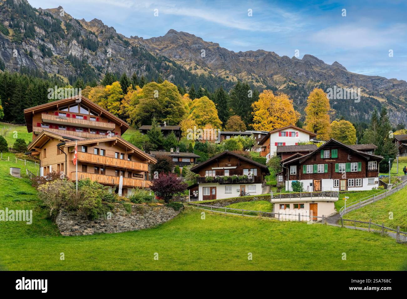Fall foliage color in the trees of Wengen, Switzerland, Europe Stock ...