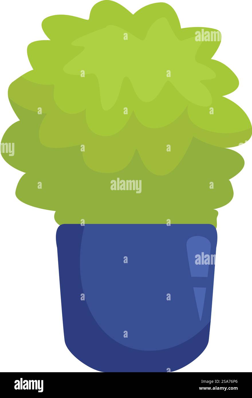 Round bush with vibrant green leaves growing in a blue pot, suggesting ...