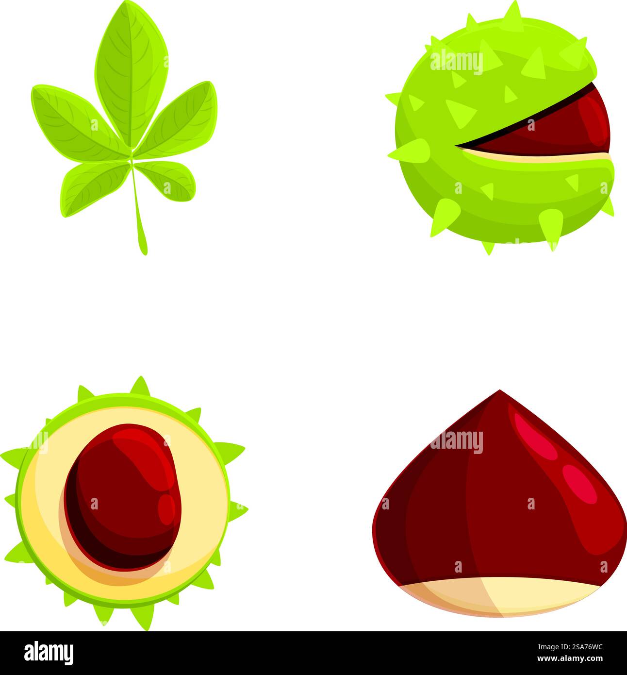 Brown chestnut icons set cartoon vector. Chestnut, green leaf and peel ...