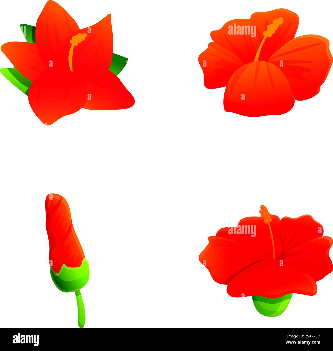 Red hibiscus icons set cartoon vector. Blooming hibiscus with green ...