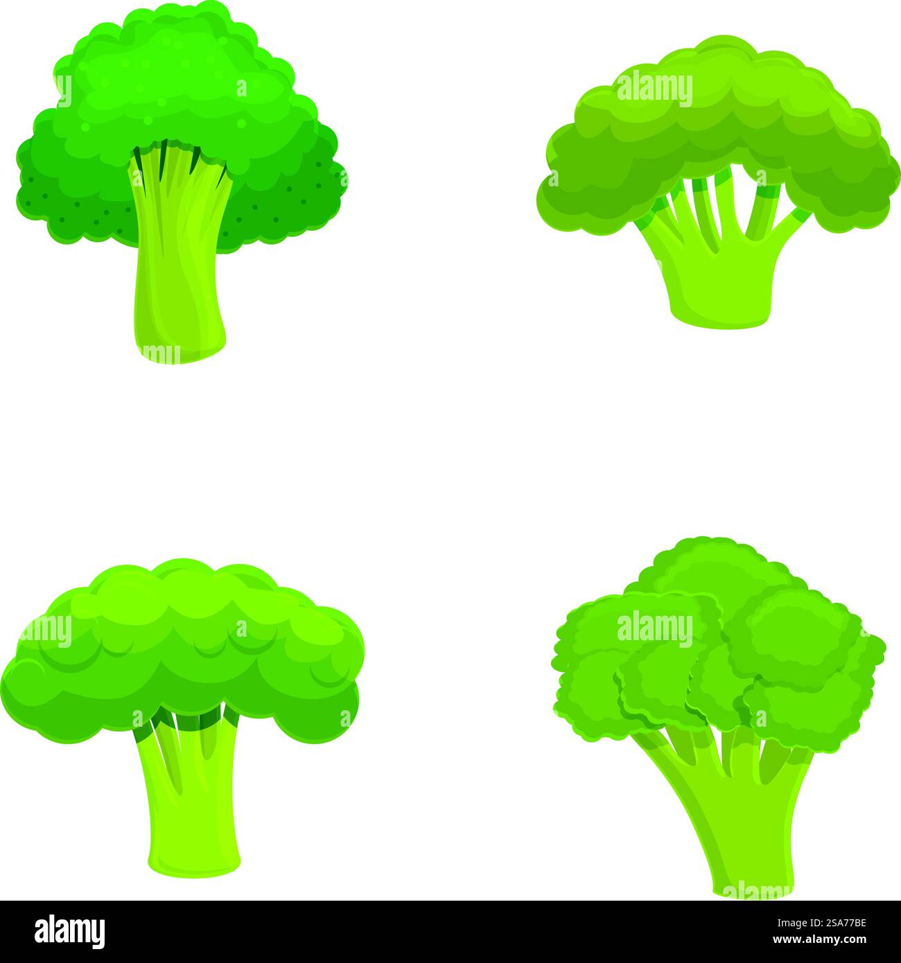 Broccoli cabbage icons set cartoon vector. Fresh green broccoli on ...