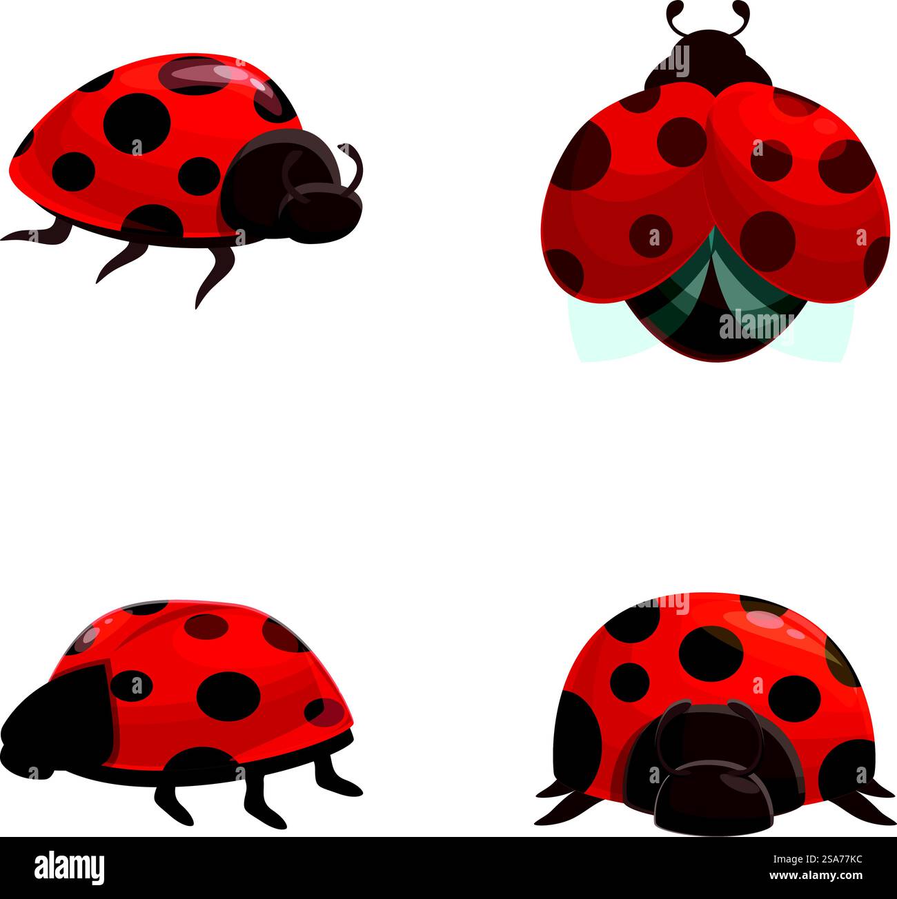 Red ladybug icons set cartoon vector. Various cartoon bright red ...