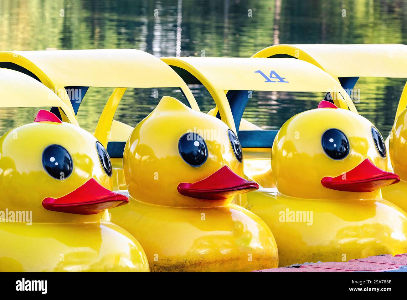 Paddle boats in the shape of yellow ducks. At the lake in Lumphini Park ...