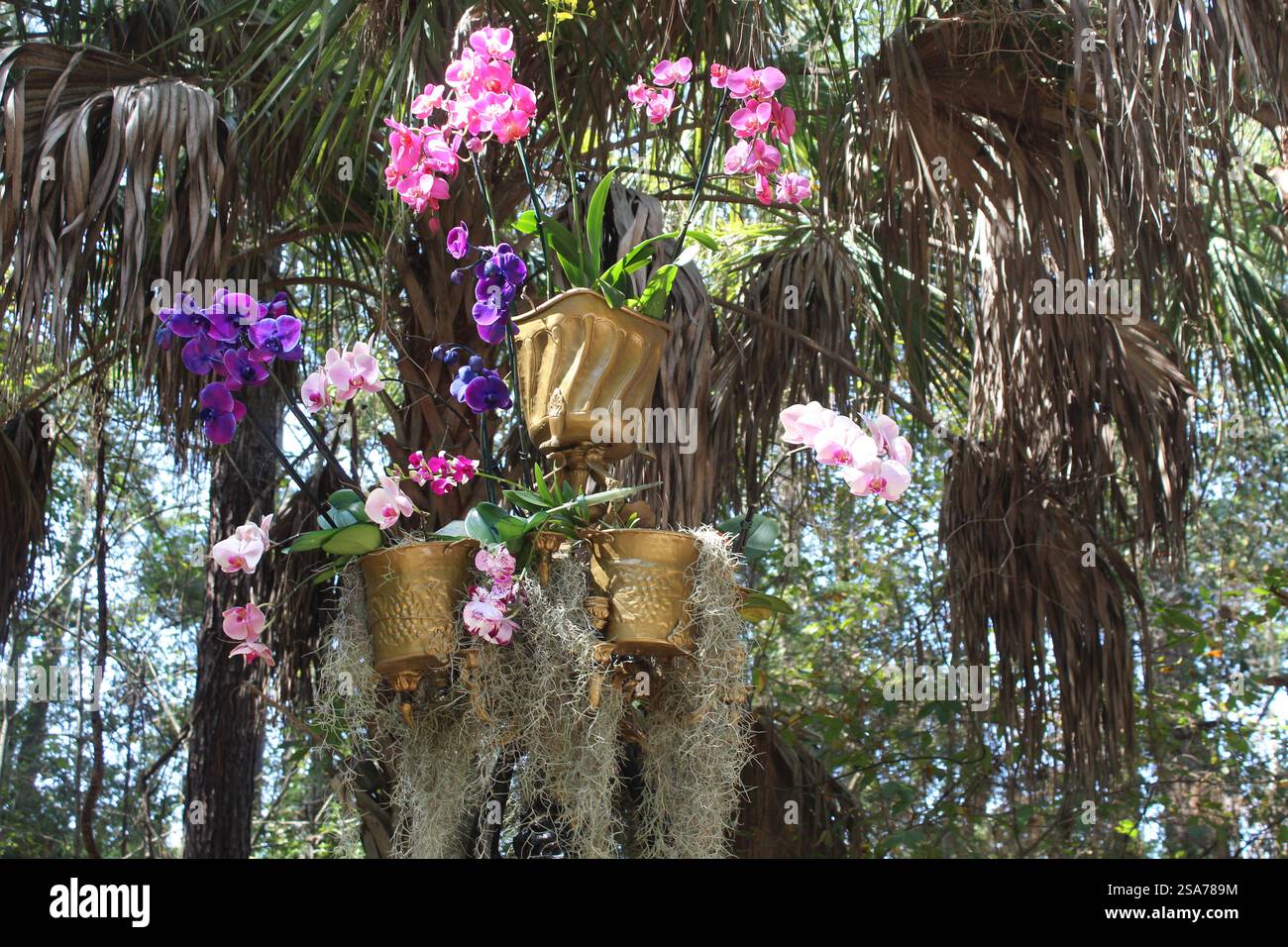 The Fairy Garden Path at the Texas Renaissance Festival Stock Photo - Alamy
