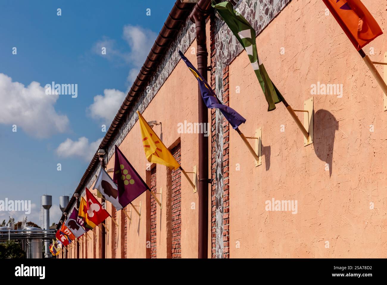 A row of flags hanging from a building. The flags are of different ...