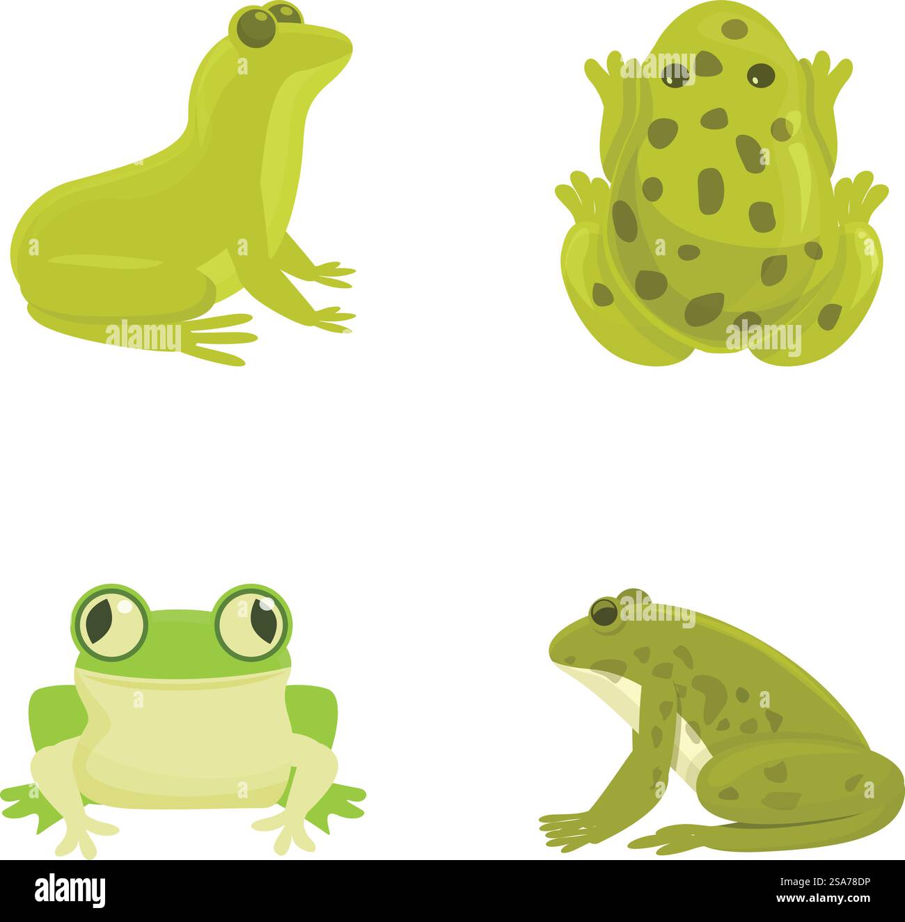 Green frog icons set cartoon vector. Various cartoon wild frog ...