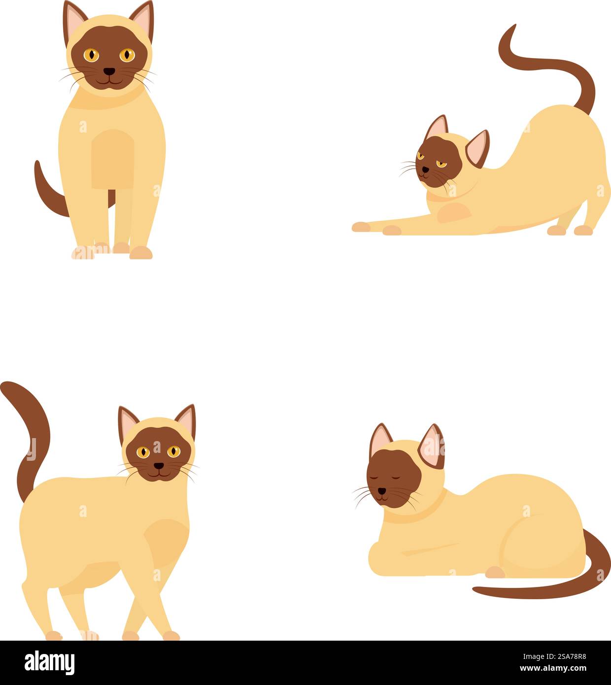 Set of cute siamese cats in different poses, perfect for petrelated ...