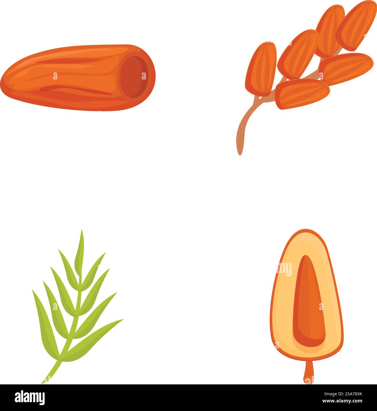 Featuring natural elements Cut Out Stock Images & Pictures - Alamy