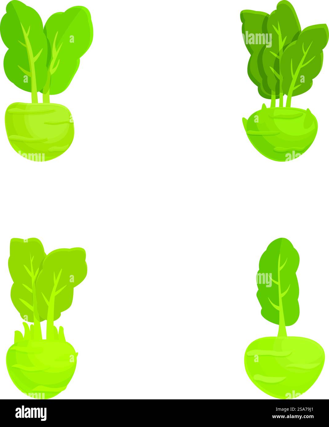 Collection of four cartoonstyle lettuce vegetable icons isolated on a ...
