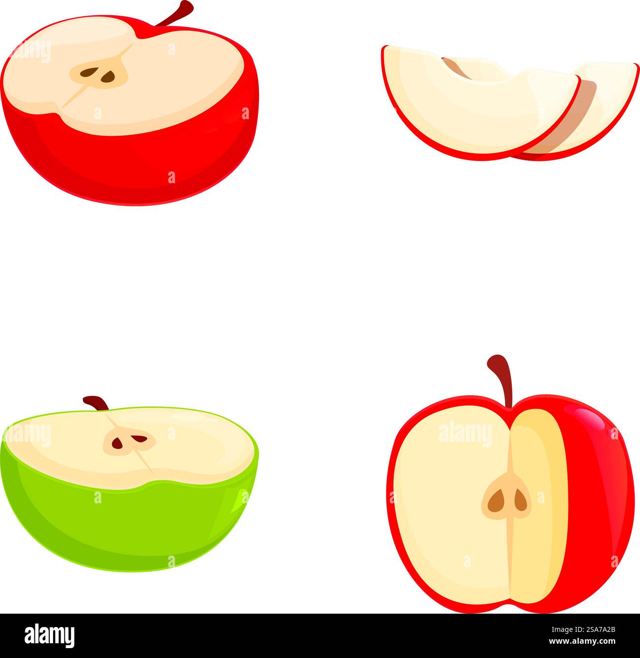 Vector graphics featuring whole and sliced red and green apples ...