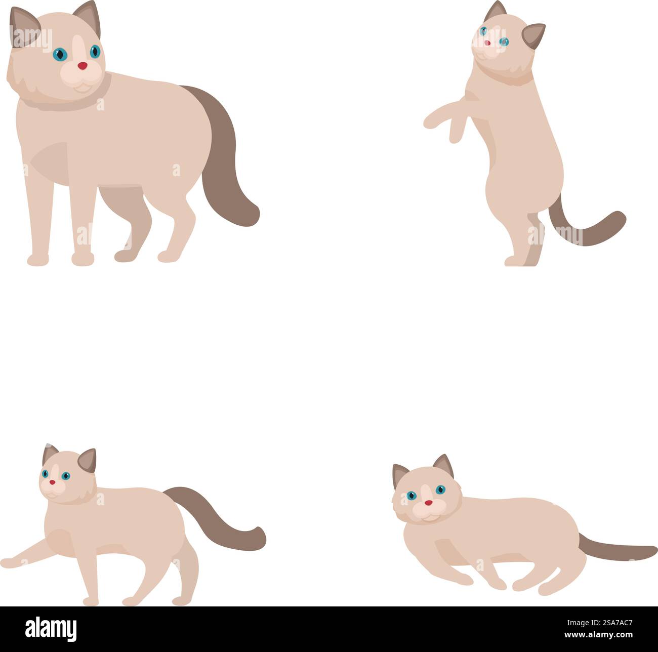 Collection of charming siamese cats illustrated in different playful ...