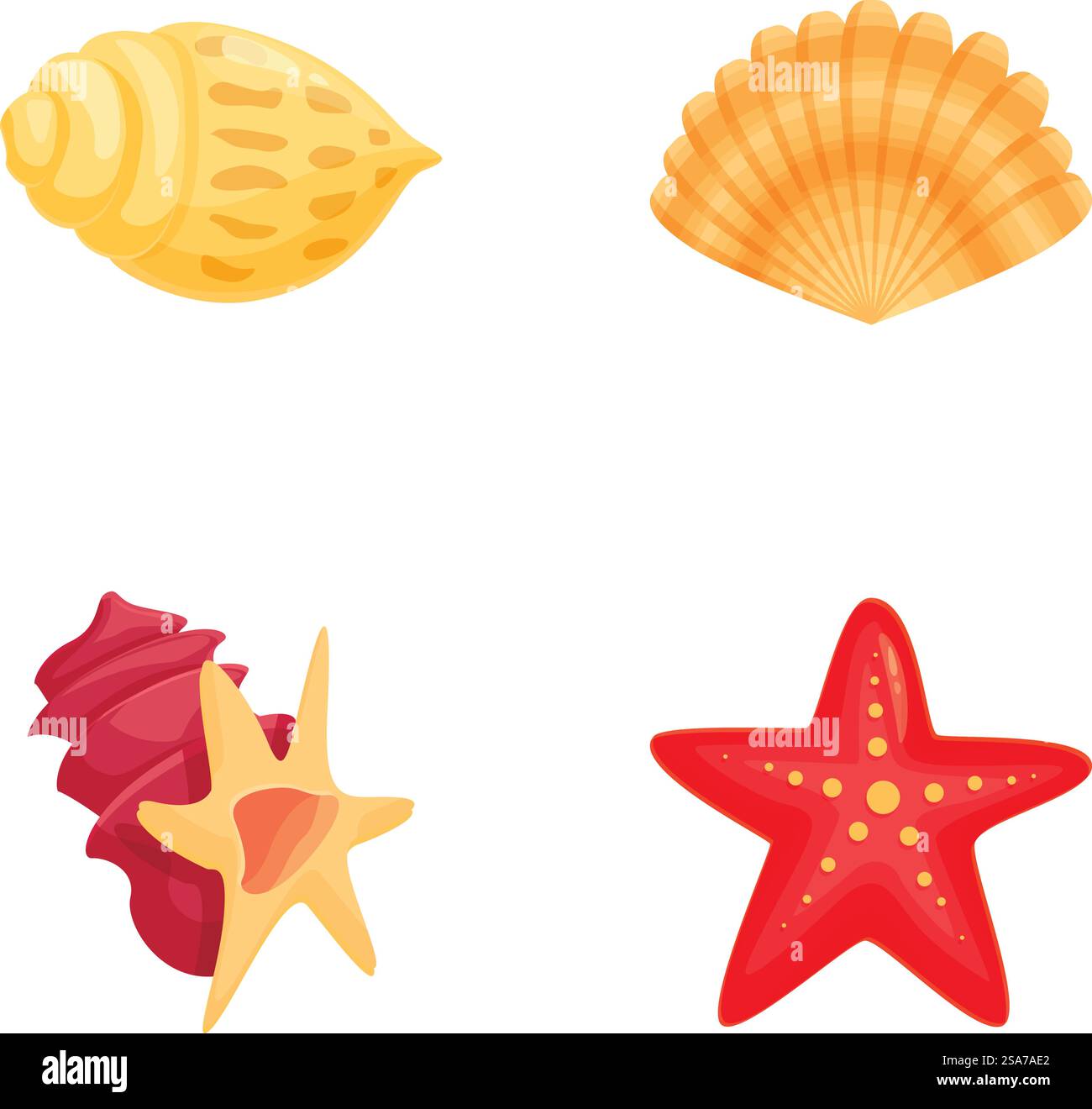 Vibrant illustration featuring various types of sea shells and a ...