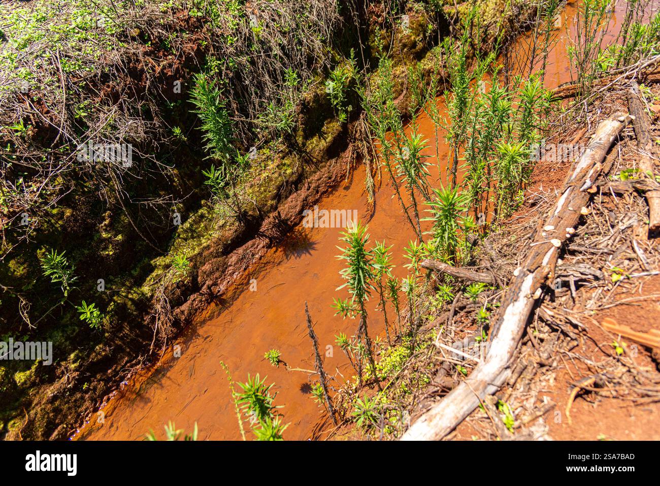 Irrigation channel in corn field in Brazil Stock Photo - Alamy