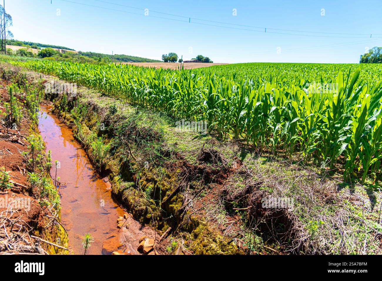 Irrigation channel in corn field in Brazil Stock Photo - Alamy