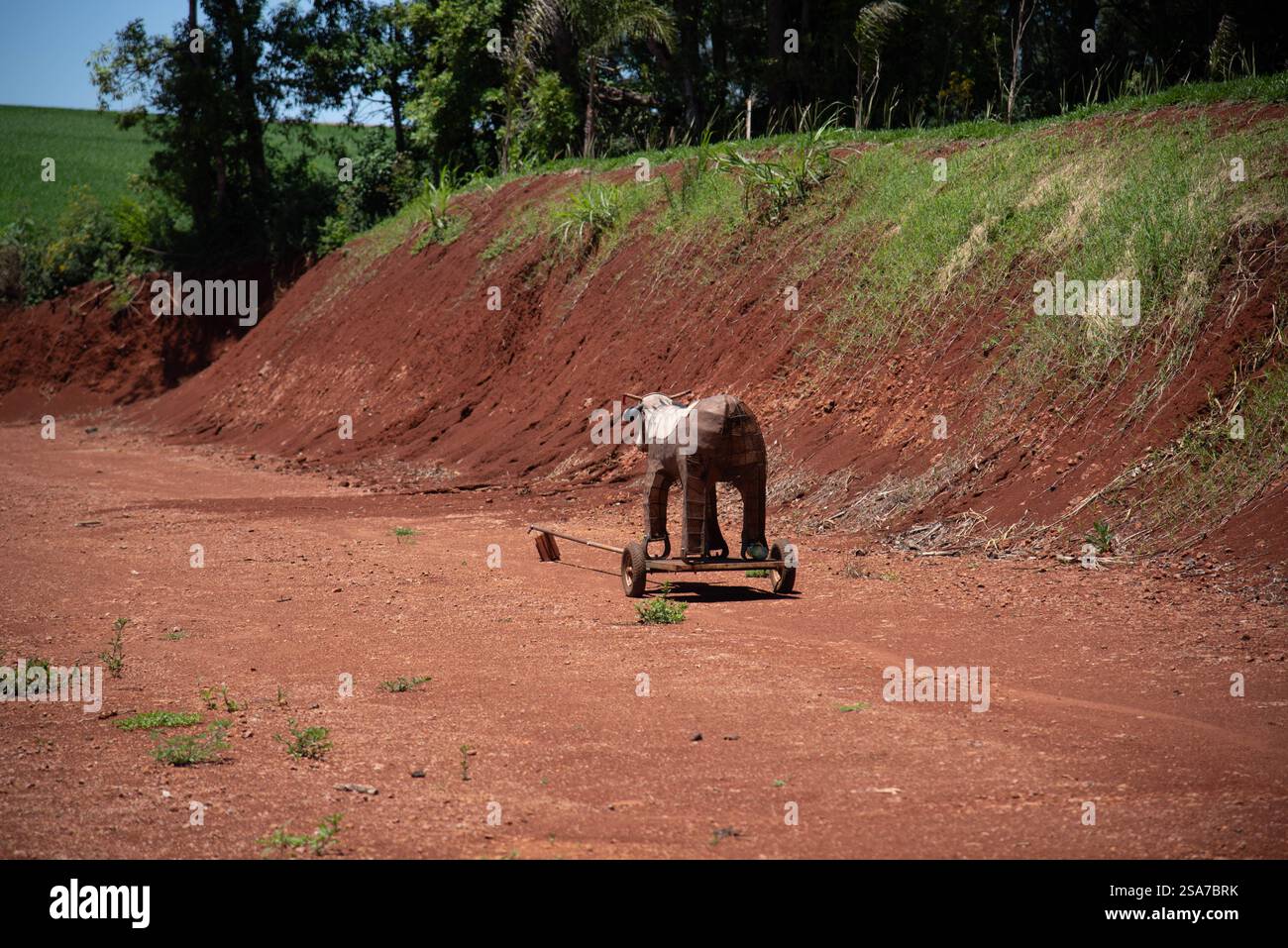 Mechanical cow for lasso and rodeo training Stock Photo - Alamy