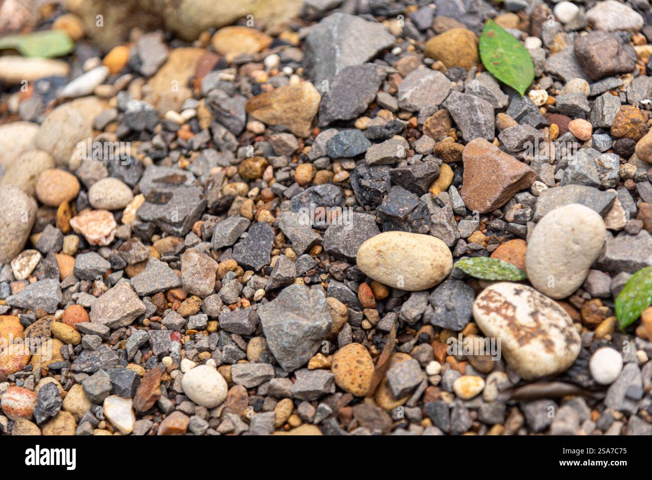 pebble stones on a riverbank in Brazil Stock Photo - Alamy