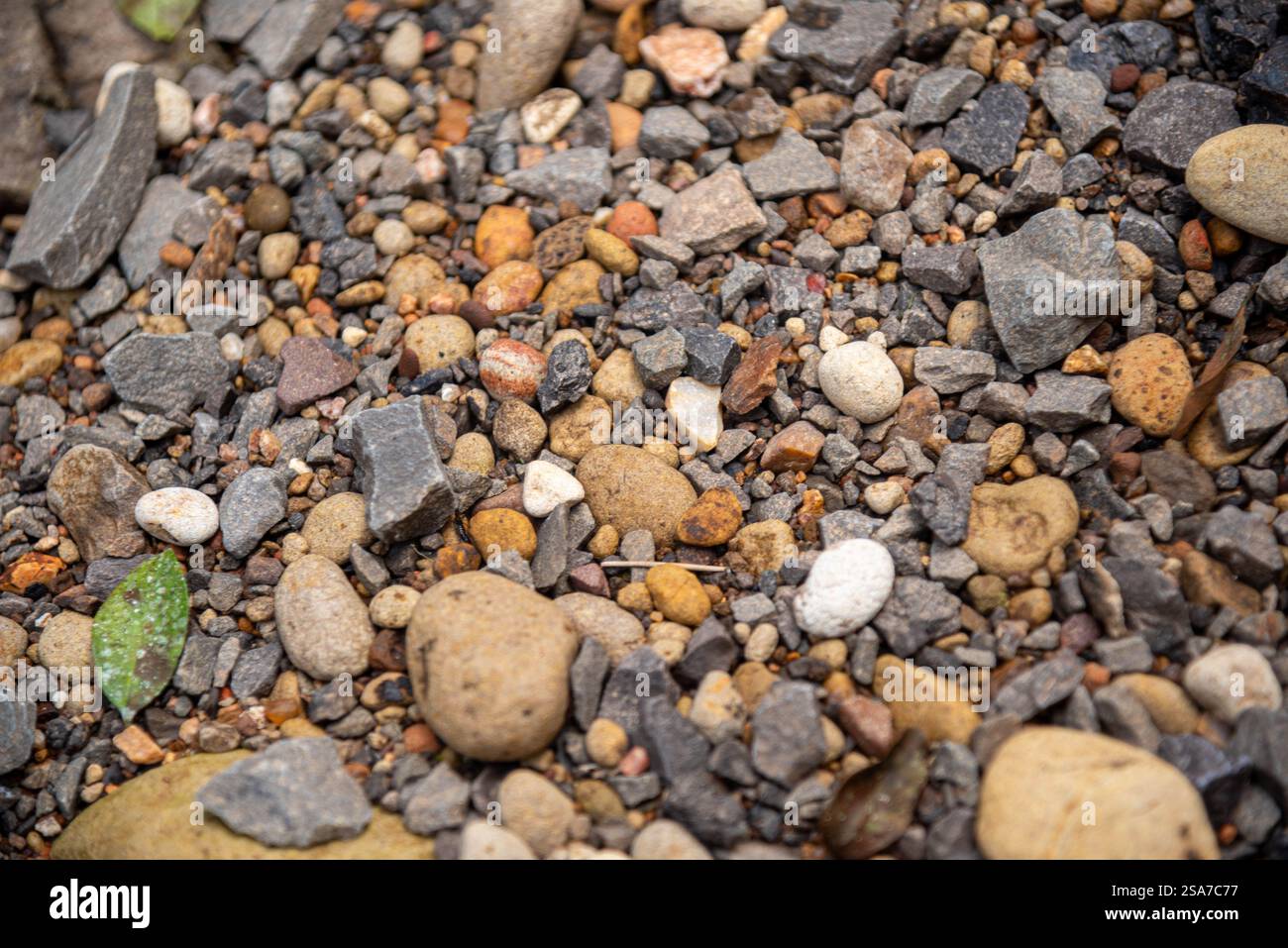 pebble stones on a riverbank in Brazil Stock Photo - Alamy