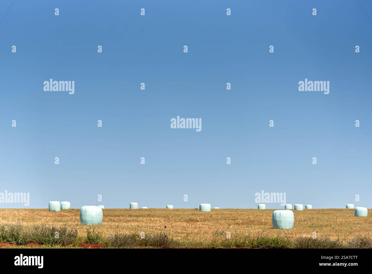 Silage bags in fields of the pampa biome Stock Photo - Alamy